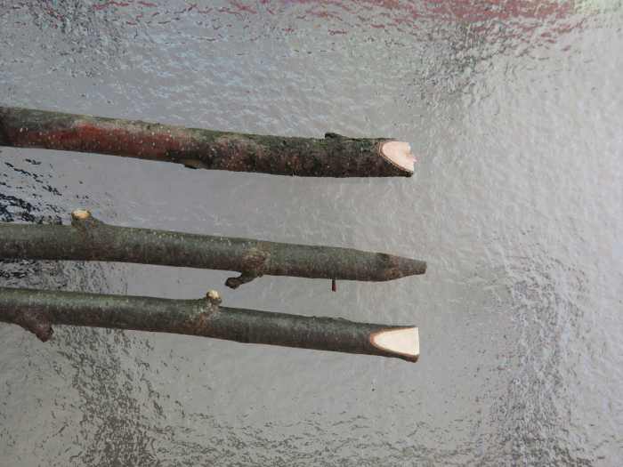 DIY Craft Tutorial: How to Make a Rustic Twig Star - HubPages