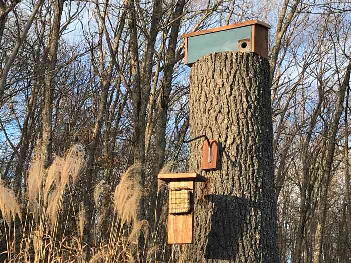 How to Build a Winter Roosting Box: DIY Barn Wood Project for the Birds ...