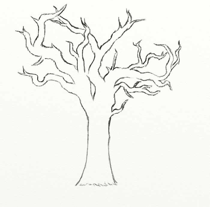 How to Draw a Dead Tree - HubPages