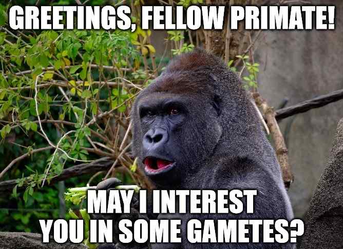 150+ Science Pick-Up Lines - HubPages