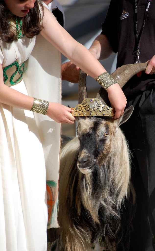 Irish Festivals - Killorglin's Puck Fair - Holidappy