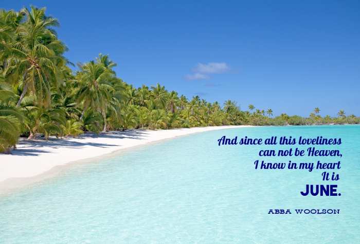 30 June Quotes Featuring Sunshine and Flowers - HubPages