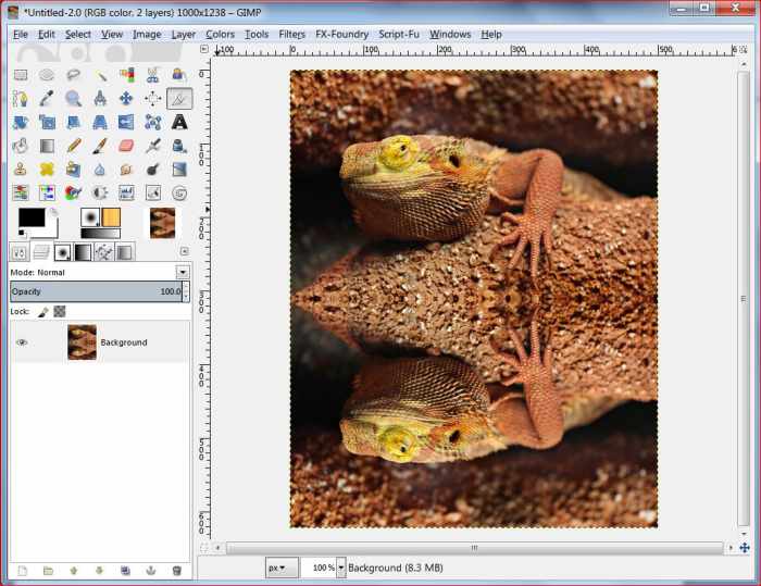 How to Add Water Reflection to an Image in GIMP - HubPages