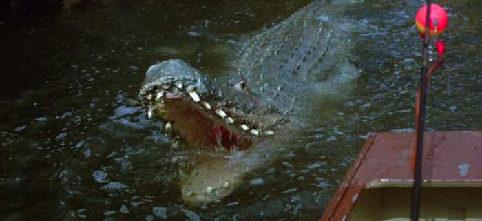 'Crawl' (2019) Review - HubPages