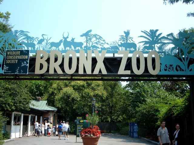 The Top 10 Big Cat Zoos in the U.S.A. - HubPages