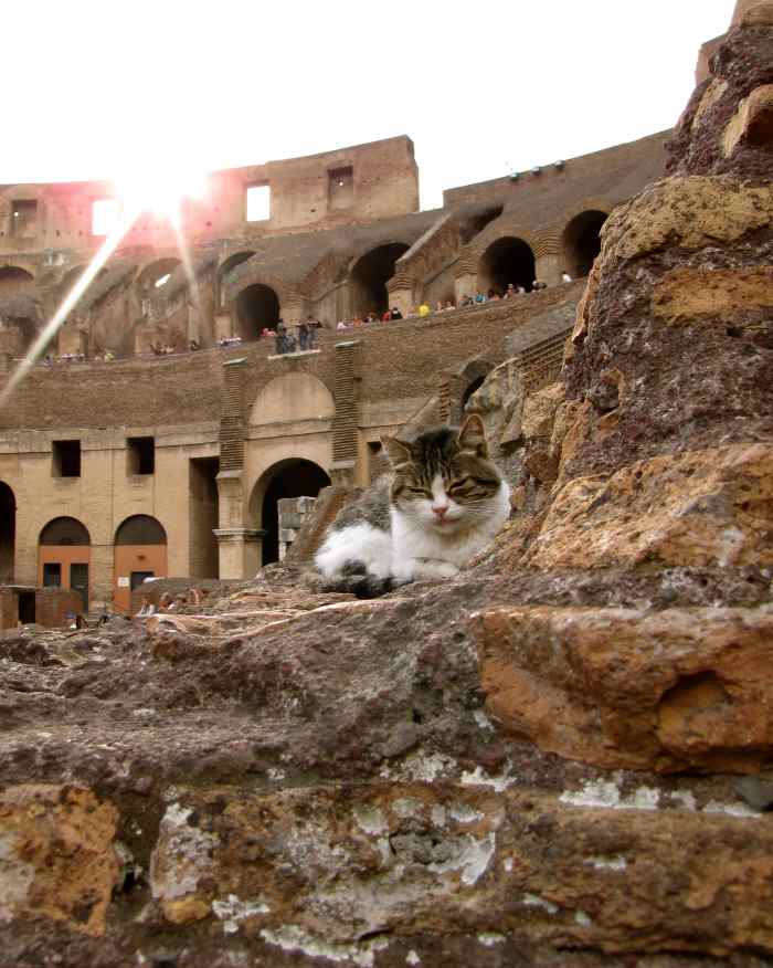 Visiting the Colosseum in Rome, Italy - HubPages