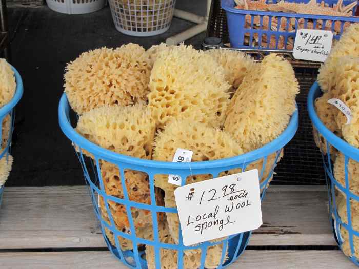 Visiting Tarpon Springs, Florida: The Sponge Capital of the World ...