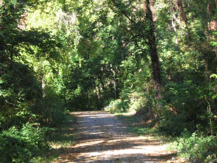 Visiting Snake Road in Southwest Illinois - HubPages
