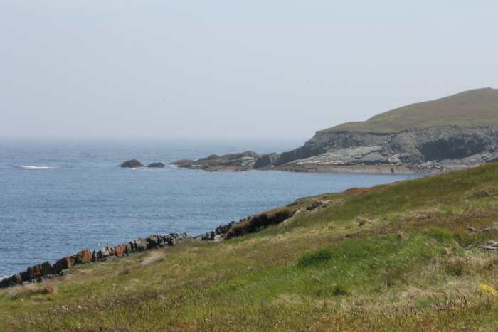 Visiting Mistaken Point Ecological Reserve - HubPages
