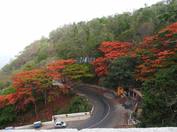 10 Beautiful Places to Visit in Yercaud - WanderWisdom