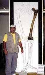 Did Giants Once Walk the Earth? - HubPages