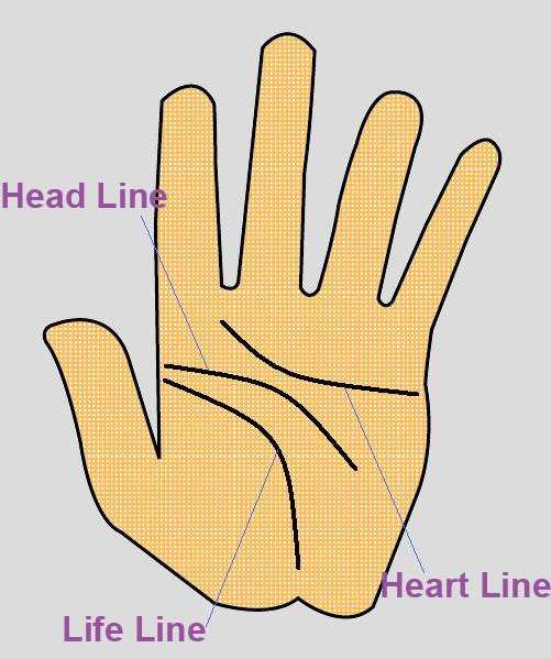 Wealthy and Successful Palmistry Hand Lines - HubPages