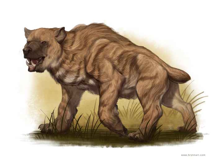African Cryptids: 9 Mysterious Monsters of Africa - HubPages