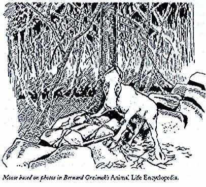 The Mystery of the Dover Demon - HubPages