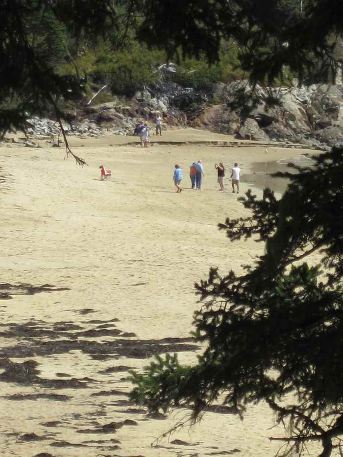 Ocean Path in Acadia National Park - HubPages