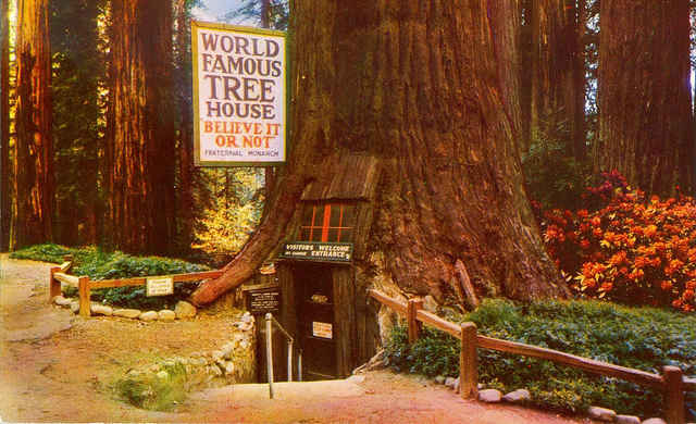 Roadside Tourist Attractions in the California Redwoods - HubPages