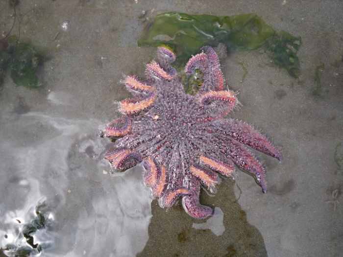 111 Things to Do and Places to Go in Western Washington - HubPages