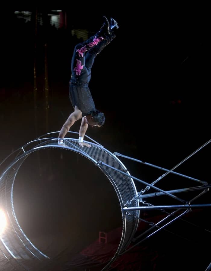 Touring Circuses in the United States and Beyond - HubPages