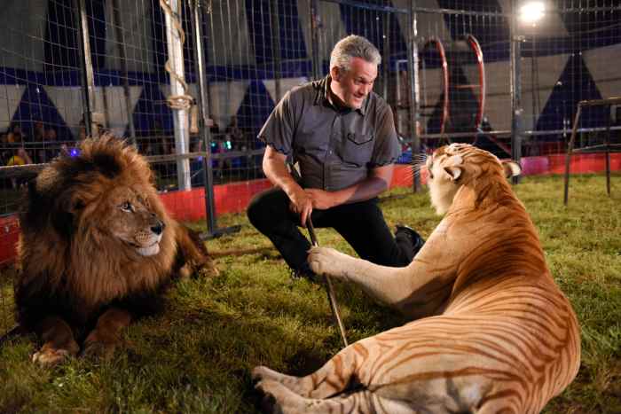 Touring Circuses in the United States and Beyond - HubPages