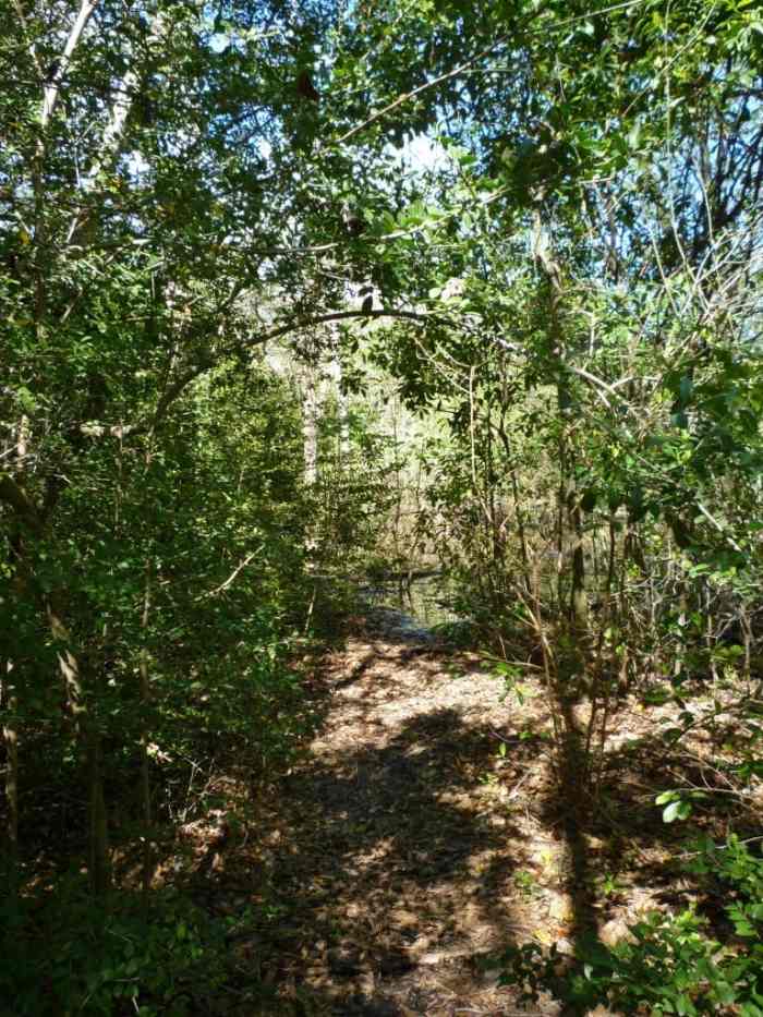 Edith L. Moore Nature Sanctuary Photos and Information - HubPages