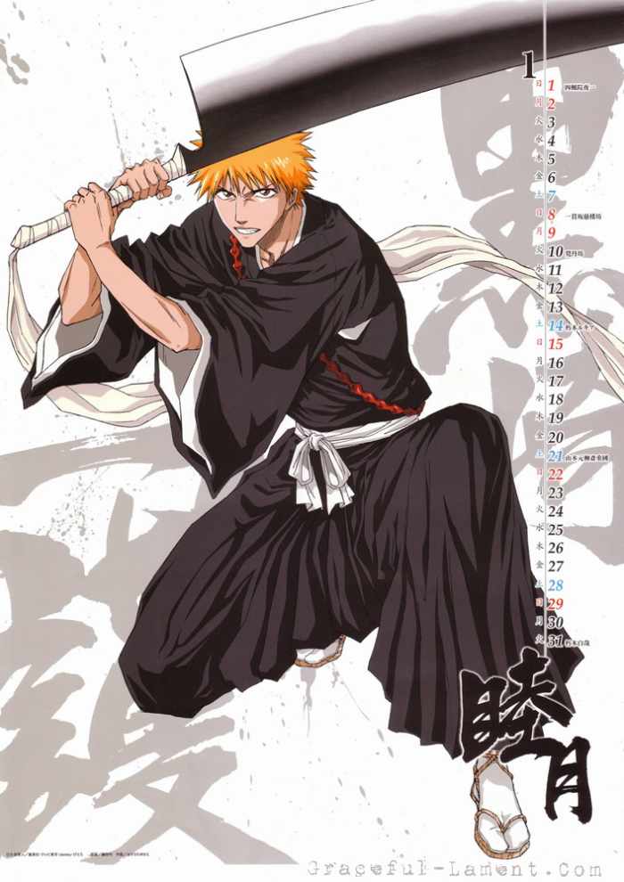 Different Forms of Ichigo: Human, Hollow, Final Form, and More - HubPages