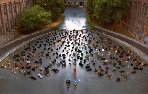 24 Popular/Critically Acclaimed Movies With Disturbing Flaws - HubPages