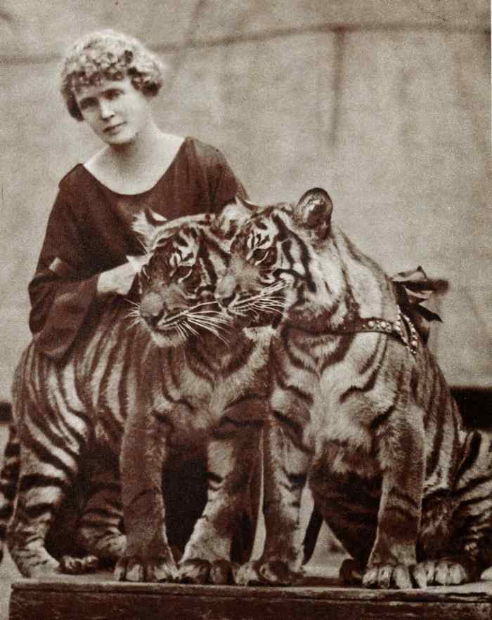 Why Circus Fans and Historians Should See "Mabel, Mabel, Tiger Trainer ...