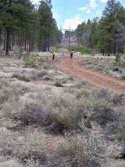 How to Navigate on Land Without a Compass or GPS - HubPages