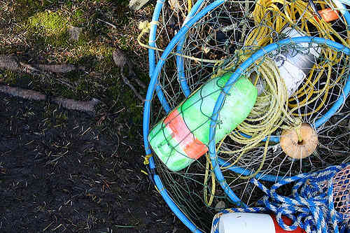 A Complete Guide to Dungeness Crabbing in the Northwest - HubPages