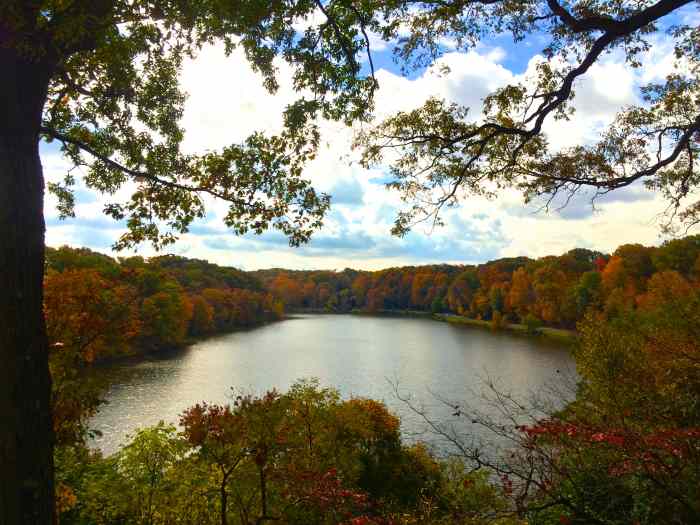 Fall in the Forest: Northeastern Ohio Hiking Hot Spots - HubPages