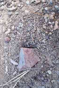 Man-Tracking 101: How to Find and Follow Tracks for Search and Rescue ...