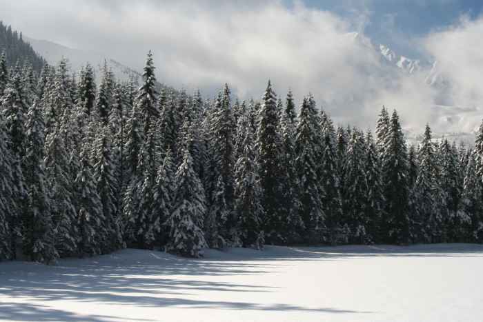 Appalachian Mountains and the Appalachian Trail - HubPages