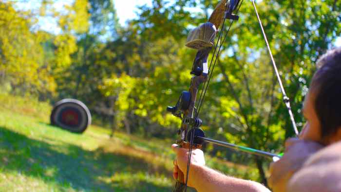 Best Beginner Compound Bow - HubPages