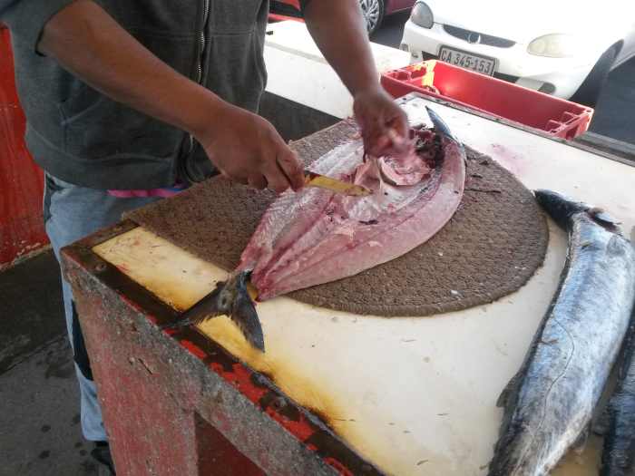 How We Gut Snoek in South Africa: A Step-By-Step Guide - HubPages