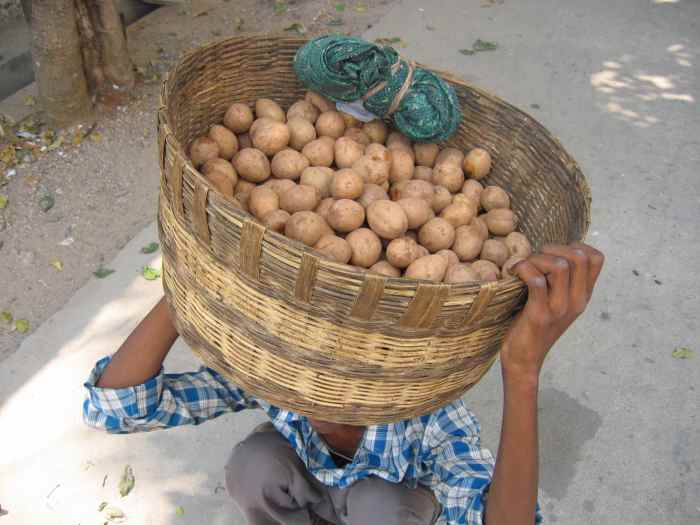 The Health Benefits of Chikoo or Sapodilla Fruit - HubPages