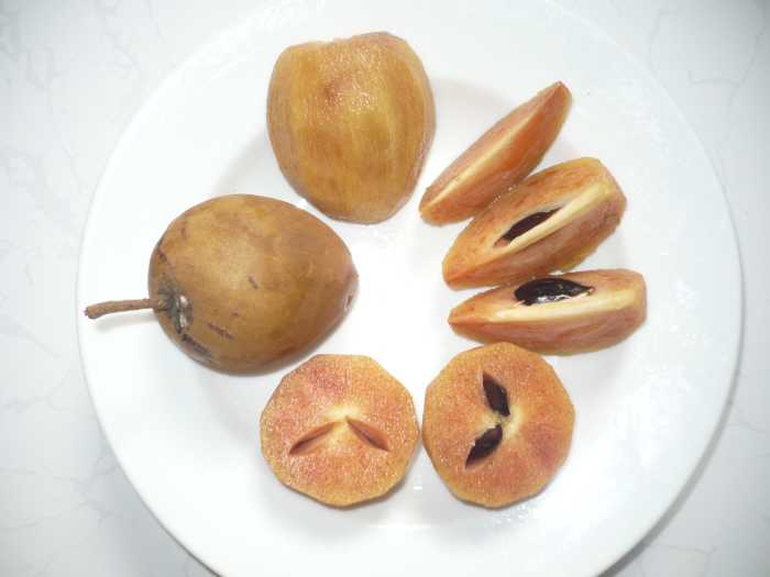 The Health Benefits of Chikoo or Sapodilla Fruit - HubPages