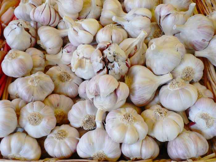 Fructans, FOS, Inulin, and Prebiotics: Benefits and Concerns - HubPages