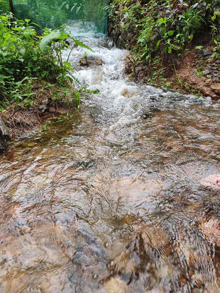 Vazhamala: An Unexplored Beauty - HubPages