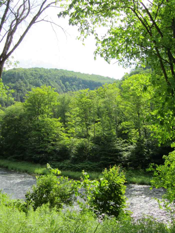 Pine Creek Gorge, the Grand Canyon of Pennsylvania - HubPages