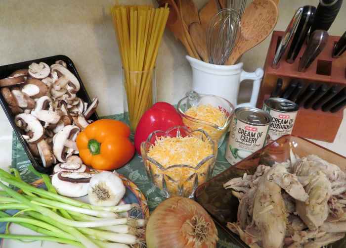 Peg's Turkey Tetrazzini: Deliciously Creamy, Cheesy, and Meaty - HubPages