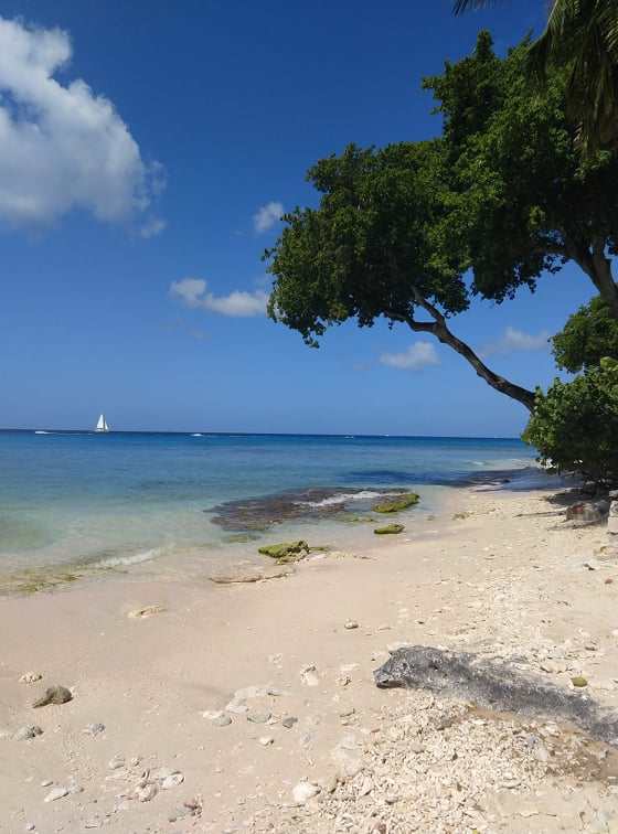 6 Reasons Why You Should Live in the Caribbean - HubPages