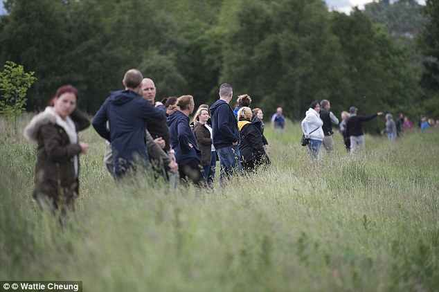 Dear Ellie - Part 7 - LetterPile