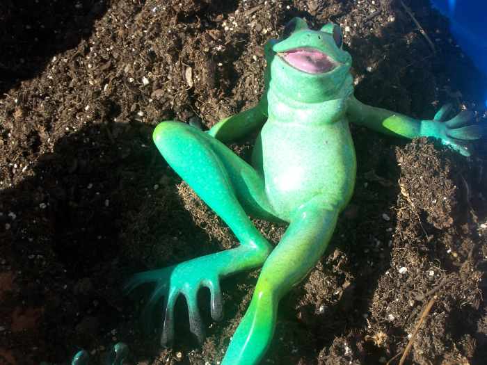 Punctuate, Spell it Right (Punctuation on Parade) - LetterPile