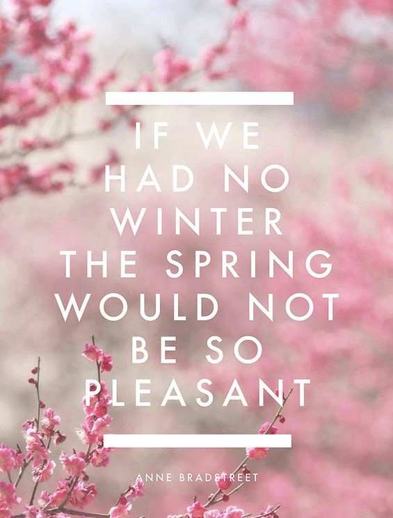 Rebirth of Life: Spring Arrives - LetterPile