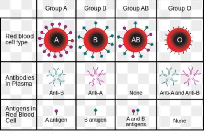 Goodness of Heart - LetterPile