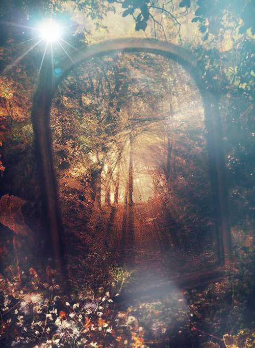 Our Dualistic Universe Shown Through Natural Reflections - A Case Study ...