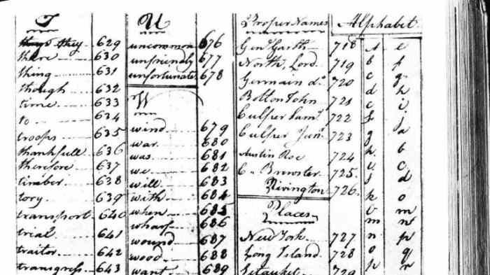 Agent 355: Female Spy Who Changed the Course of the American Revolution ...