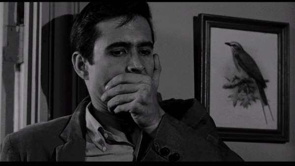 The Movie Buff - Short Story on a Queer Obsession - HubPages