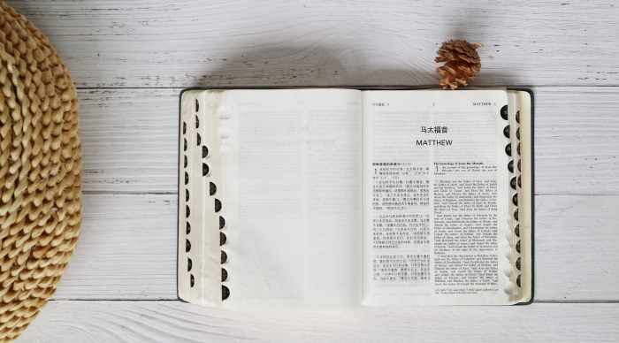 Top 20 Funny Bible Verses You Have to Read - LetterPile