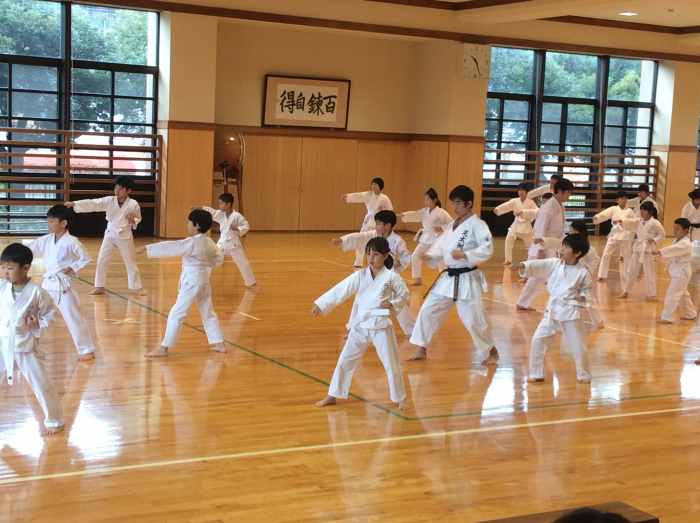 What I Learned From Watching My Daughter’s First Karate Lesson - LetterPile